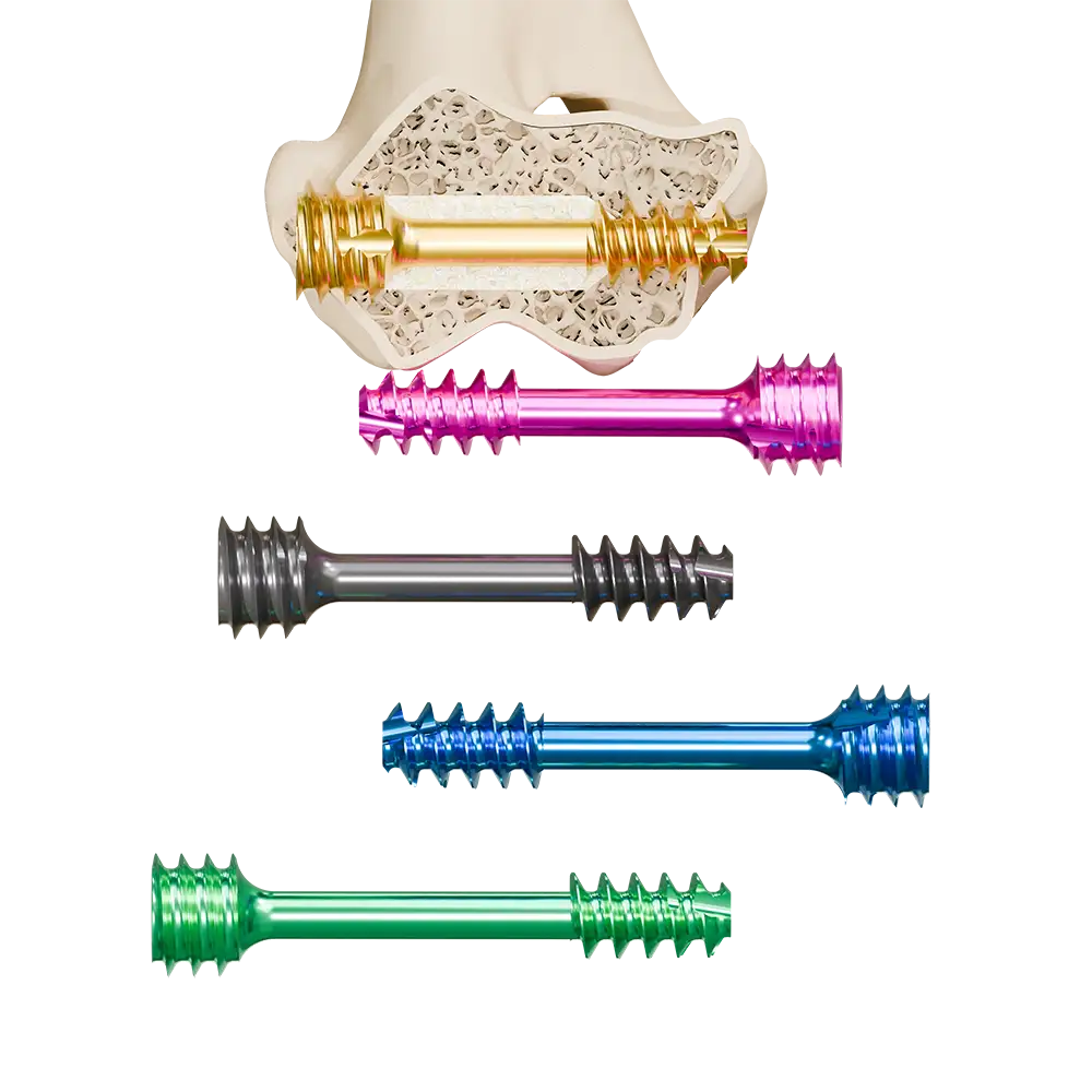 Products - Fusion Implants