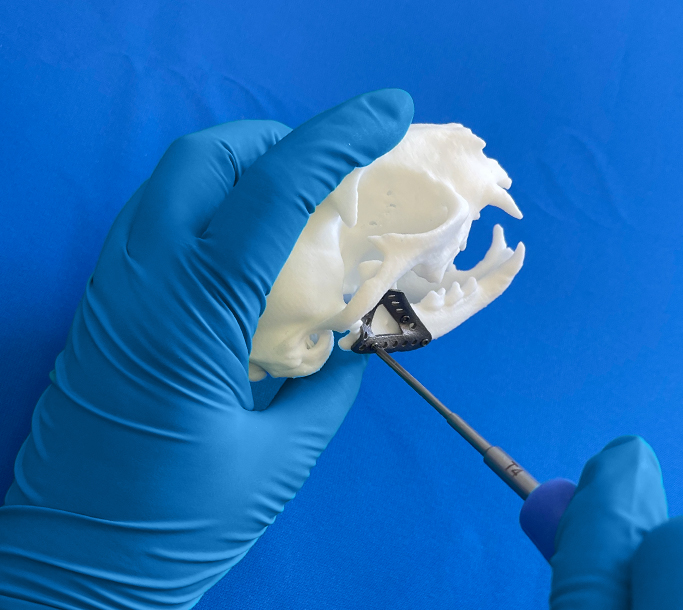 Courses - Fusion Implants