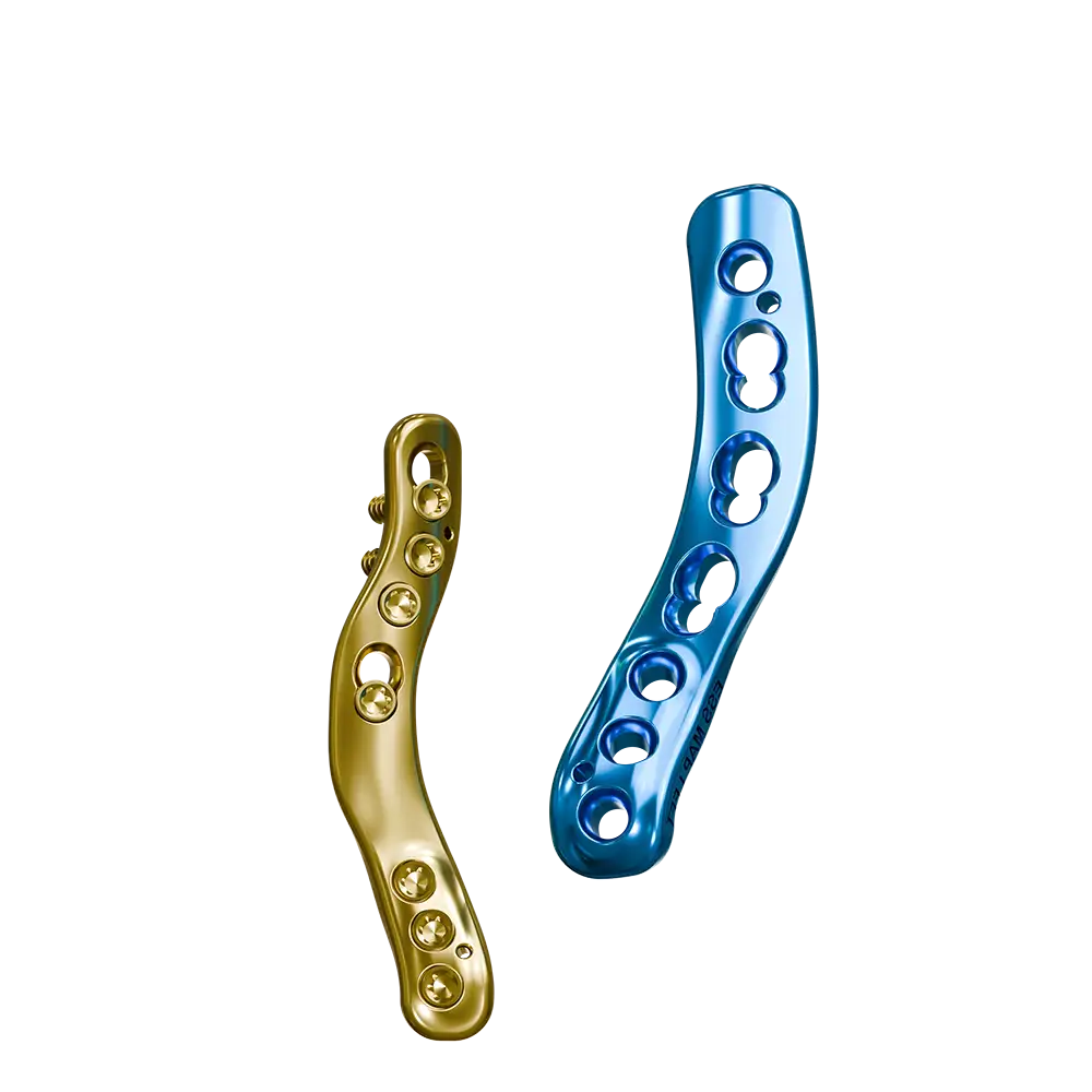 MAP - Fusion Implants